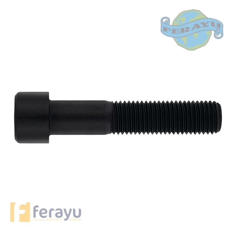 TORNILLO ALLEN DIN912 8.8 PAV. M12X30 - Ferayu